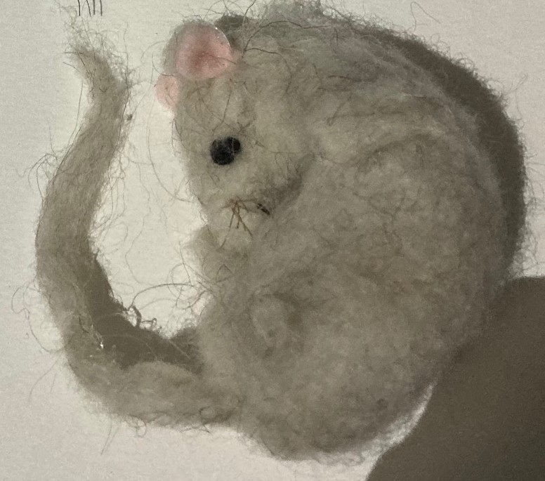 Latest News – Kidlington with Hampton Poyle Anglican Churches